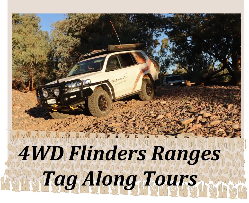 Contact Us : Pindan 4WD Tours and Training | 4WD Tours, Training ...